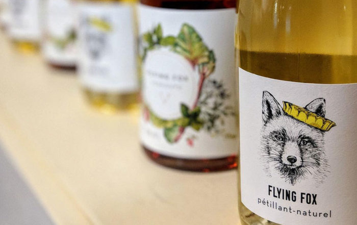 Flying Fox Vineyard & Winery – Nelson 151