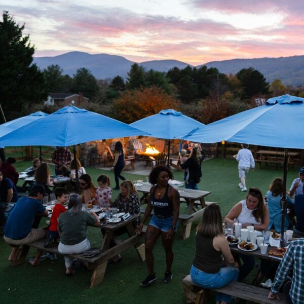 Nelson 151 | Photo Gallery