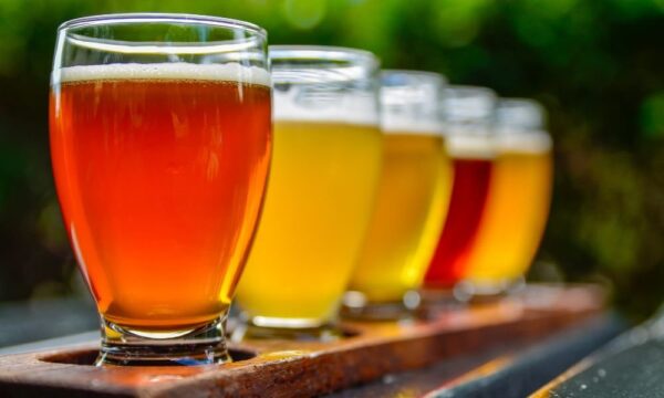 Nelson 151 - An Award Winning Virginia Craft Beverage Trail