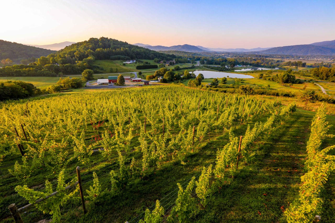 Nelson 151 Map of Breweries, Wineries, Cideries & Distilleries